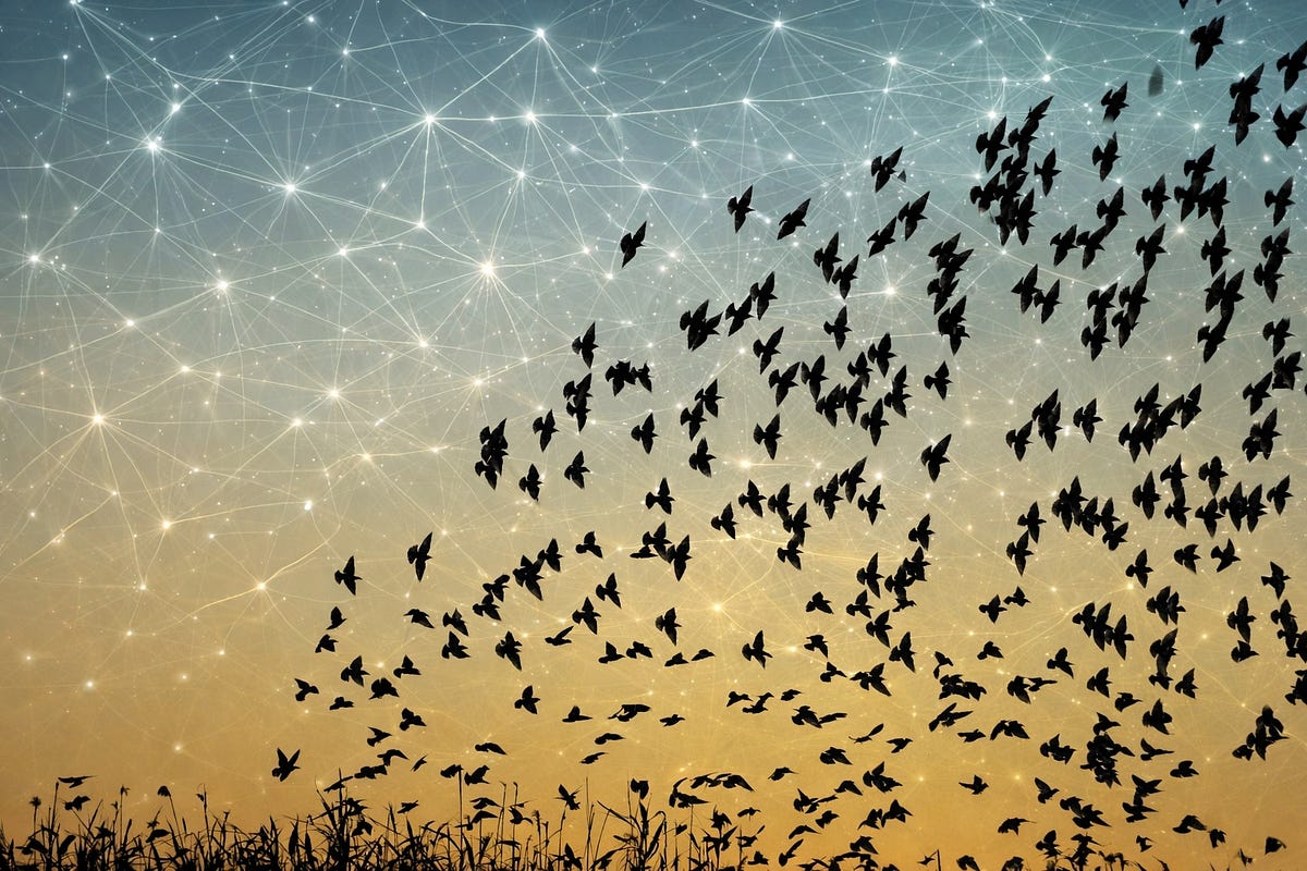 The Evolutionary Byproduct of Self-Awareness: Object Logic | by Melinda ...