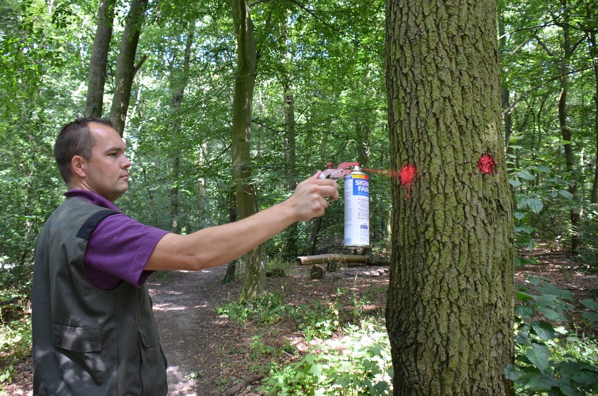 Minder bomen voor een gezond Haagse Bos | by Jenny van Leeuwen | Haagse ...