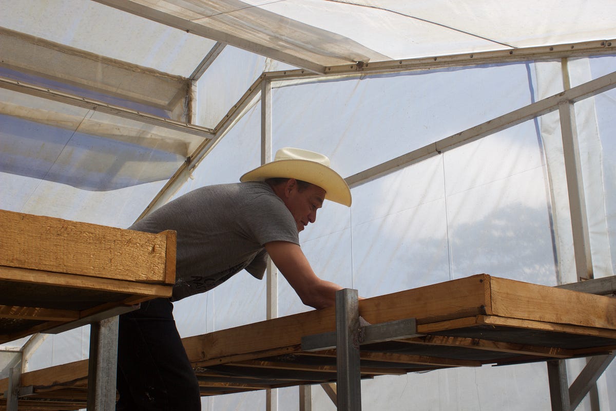Local Talk: Q+A with Irving Farm Green Coffee Buyer, Dan Streetman | by ...