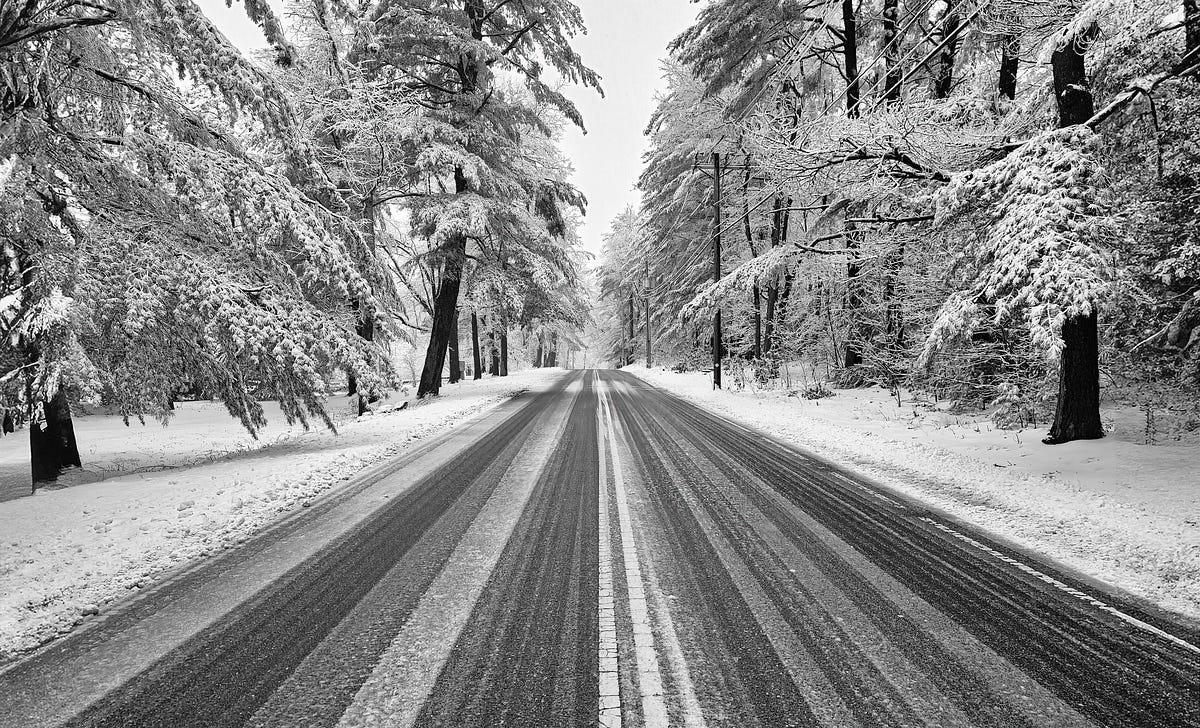 Looking Down The Long Road For A New Season By Bruce Coulter Six