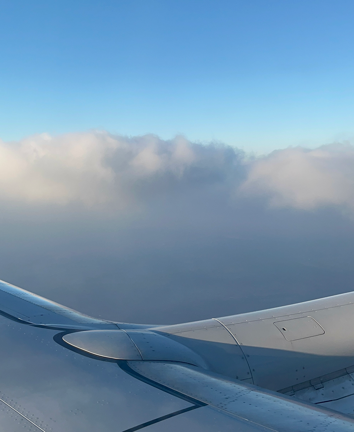 Up on the clouds. Happiness could never be more ironic, a… | by Hamed ...