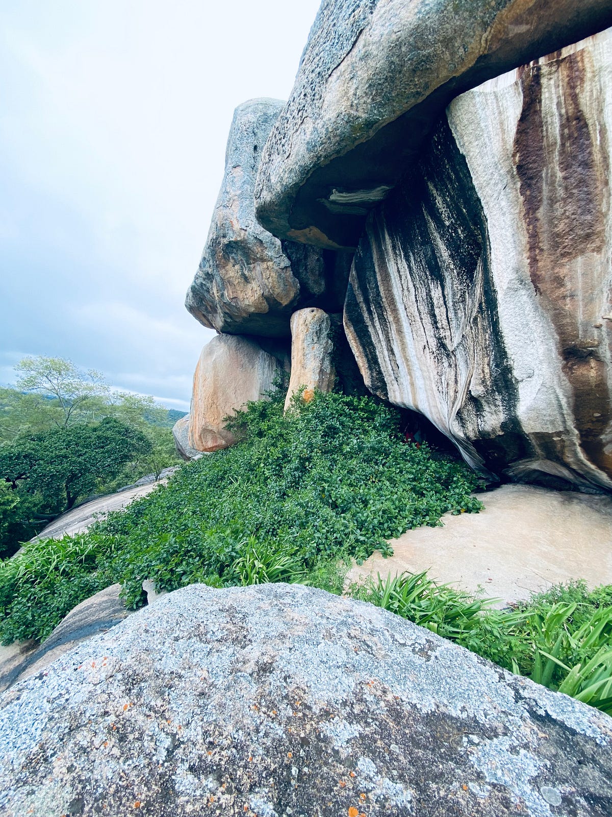 The Sculpting Power of Place: How Your Environment Shapes Your Success ...