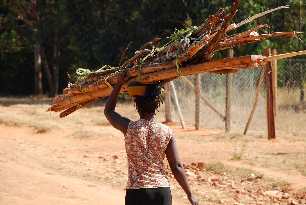 Beyond fuelwood savings: the economic, environmental and health ...