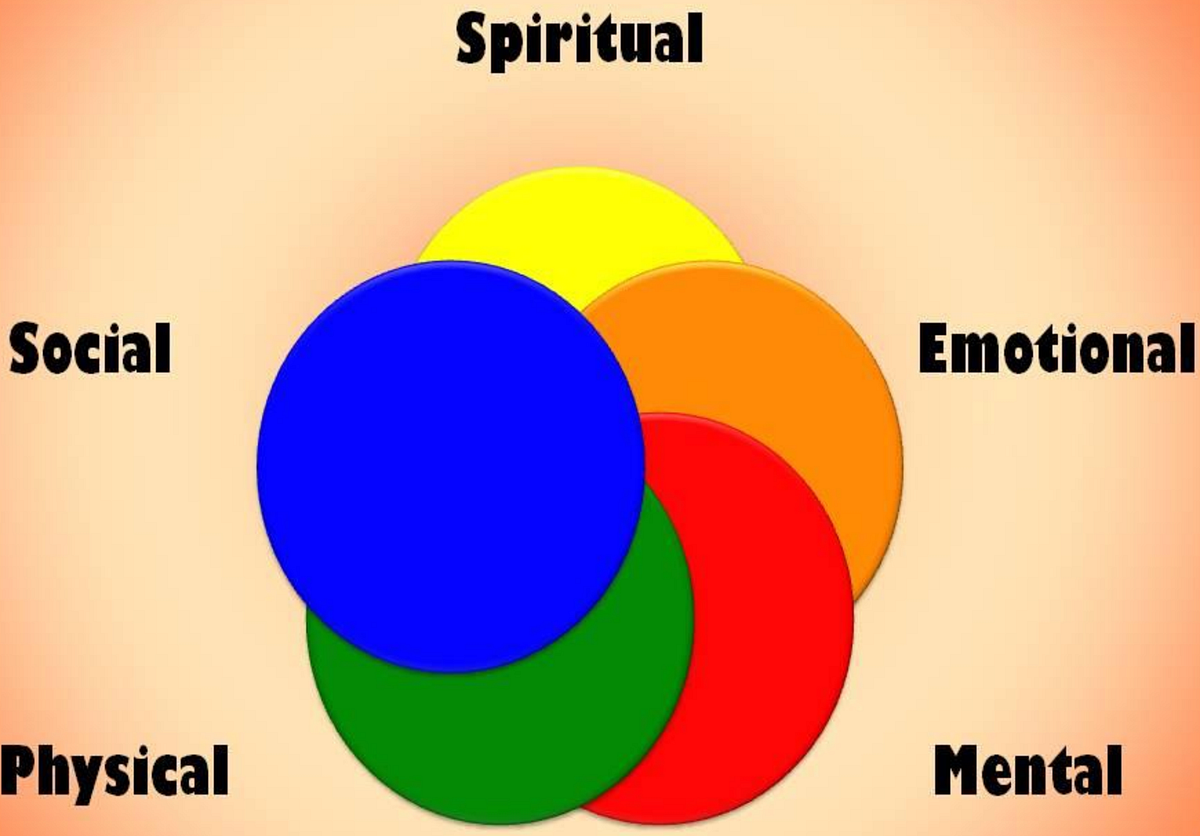 The Holistic Meaning. Applying Holistic Principles for… | by Lorenzo ...