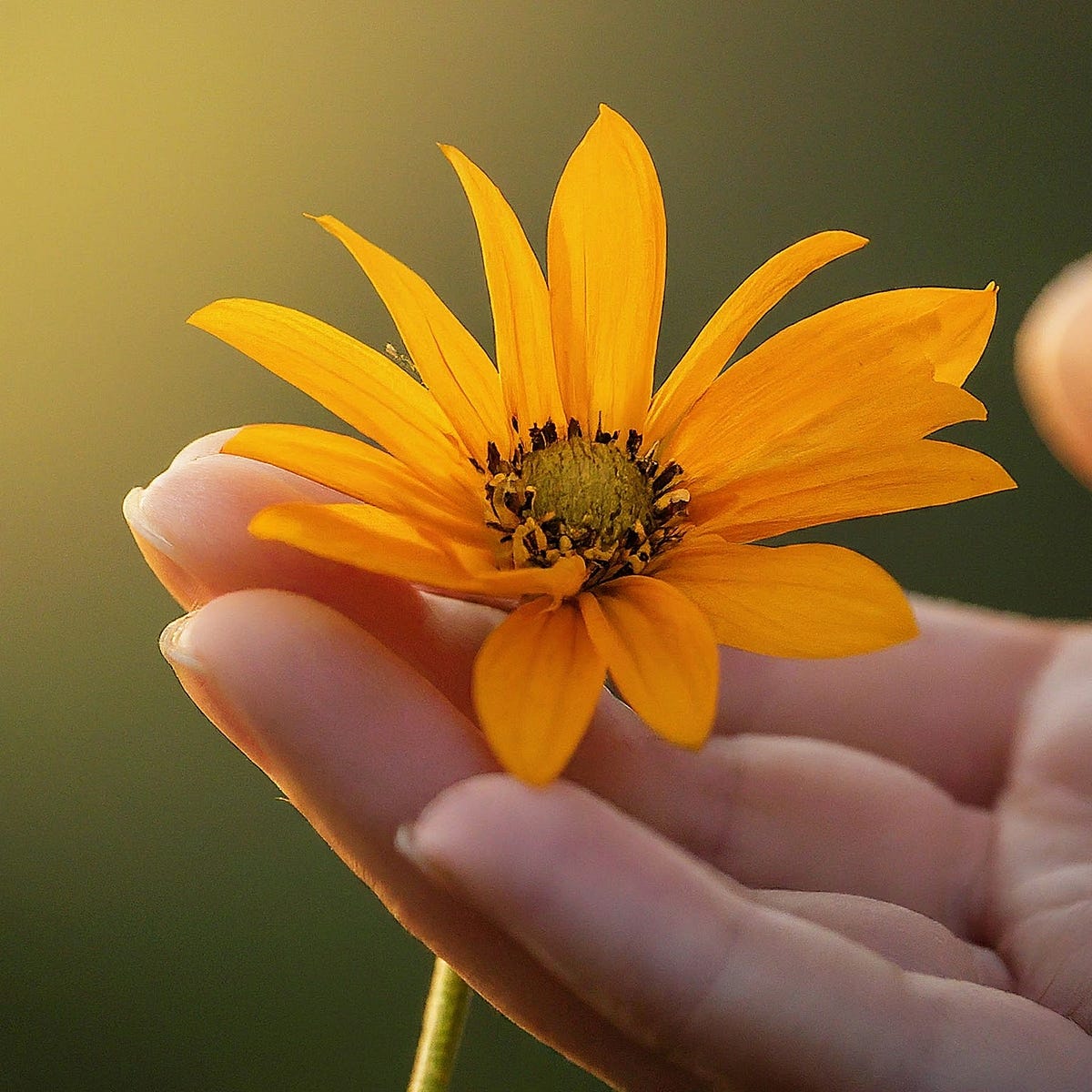 To admire others must be a part of internal journey | by Naman Mishra ...