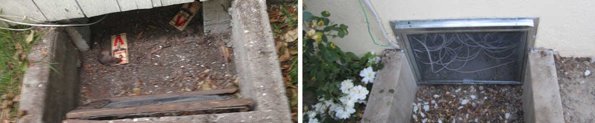 Rat Control Los Angeles. Do you have a rat problem that you want… | by ...