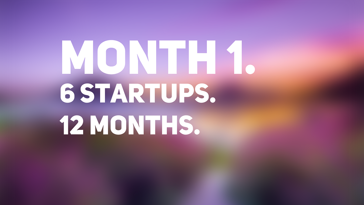 (1/12) I’m launching 6 startups in 12 months | by Sam | Medium