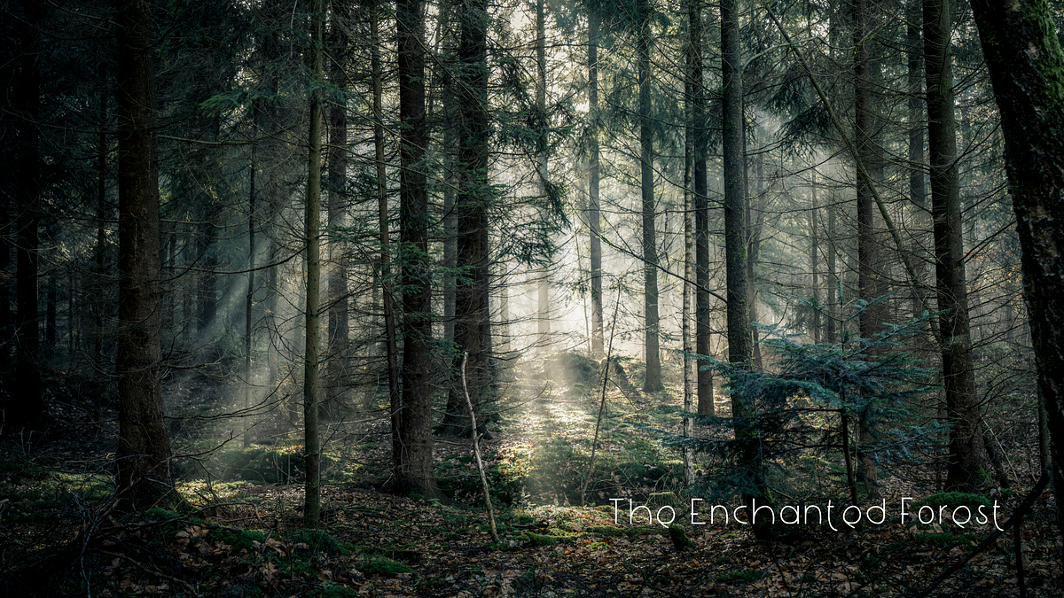 The Enchanted Forest: Unleashing Your Brand’s Storytelling Magic. | by ...