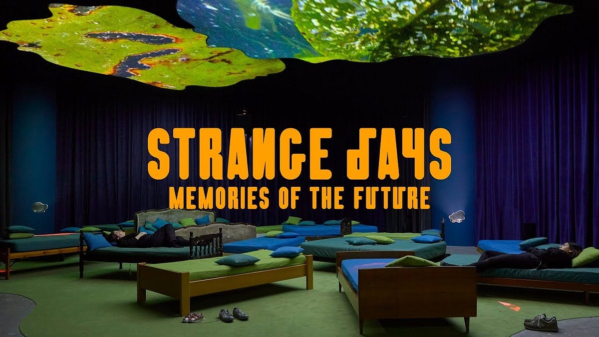 STRANGE DAYS ON THE STRAND. Blinding, eight foot, fluorescent… | by ...