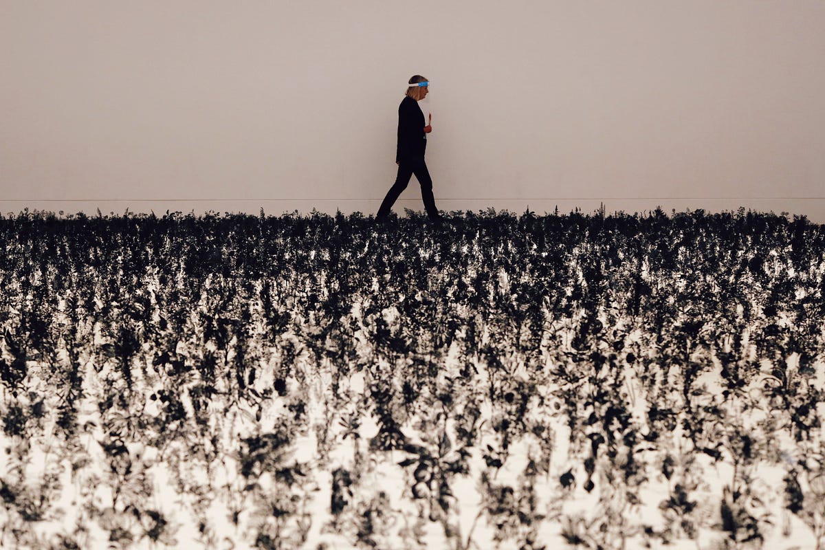 The true image of you. Revealing a genuine identity | by Rodolfo III ...