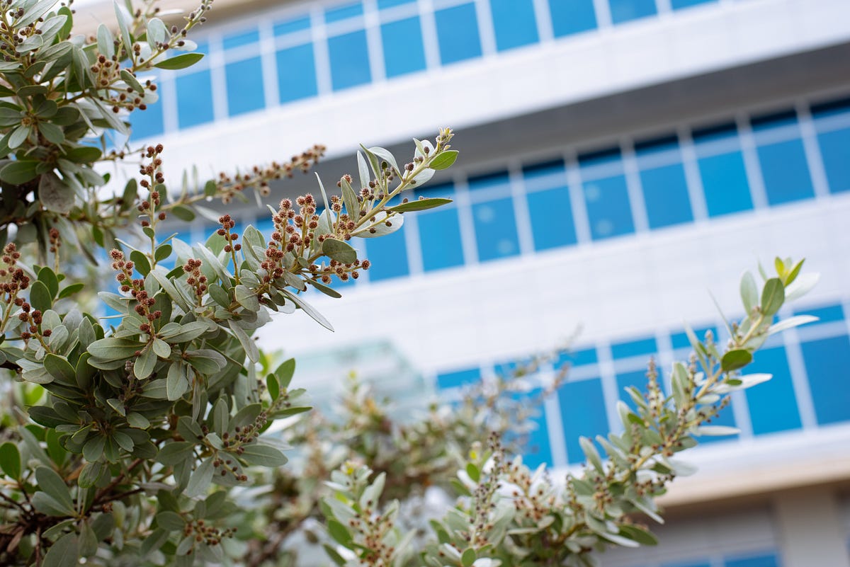 To know more click these link below : - Philip Henkin - Medium