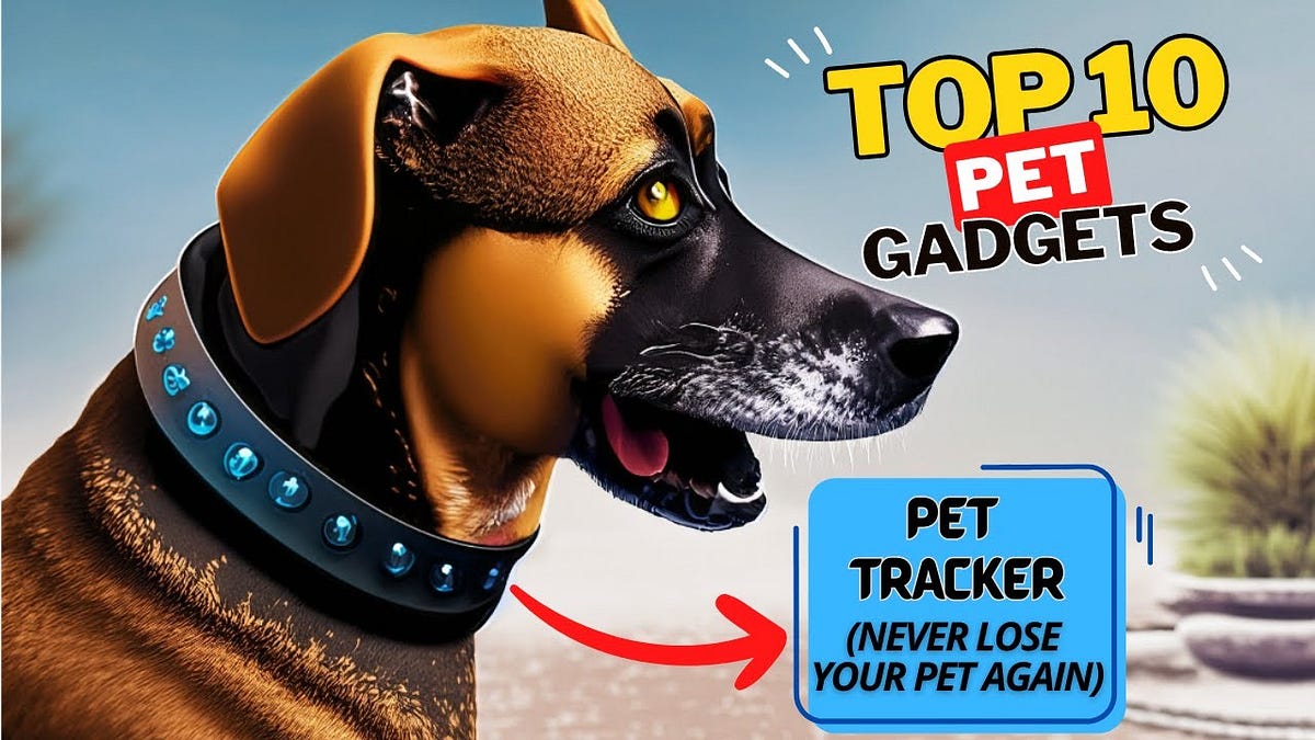 Top 10 Smart Gadgets for Dogs and Cats (Pets) 2023 | by Adnan shaukat ...