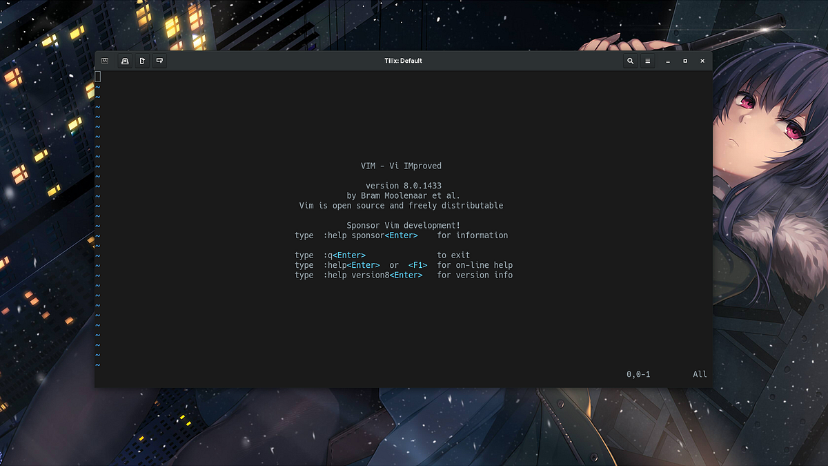 Using Flatpak Vim from Flathub!. Flatpak cannot run servers or daemons… | by alex285 | Medium