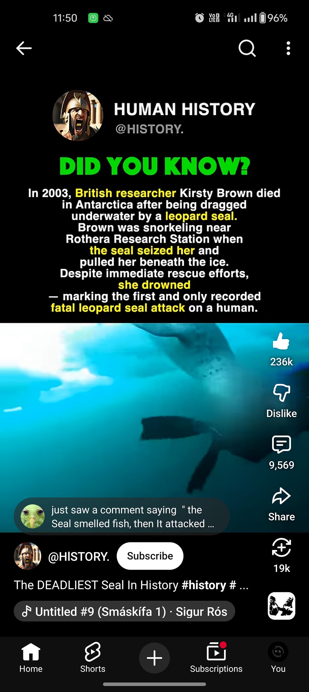 The Only Recorded Leopard Seal Attack on a Human – A Chilling True ...
