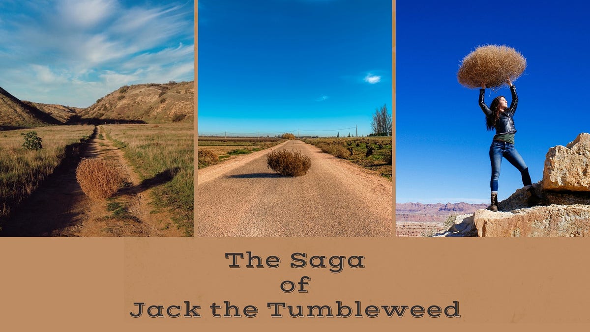 The Saga of Jack the Tumbleweed. A hendecasyllable blank verse poem ...