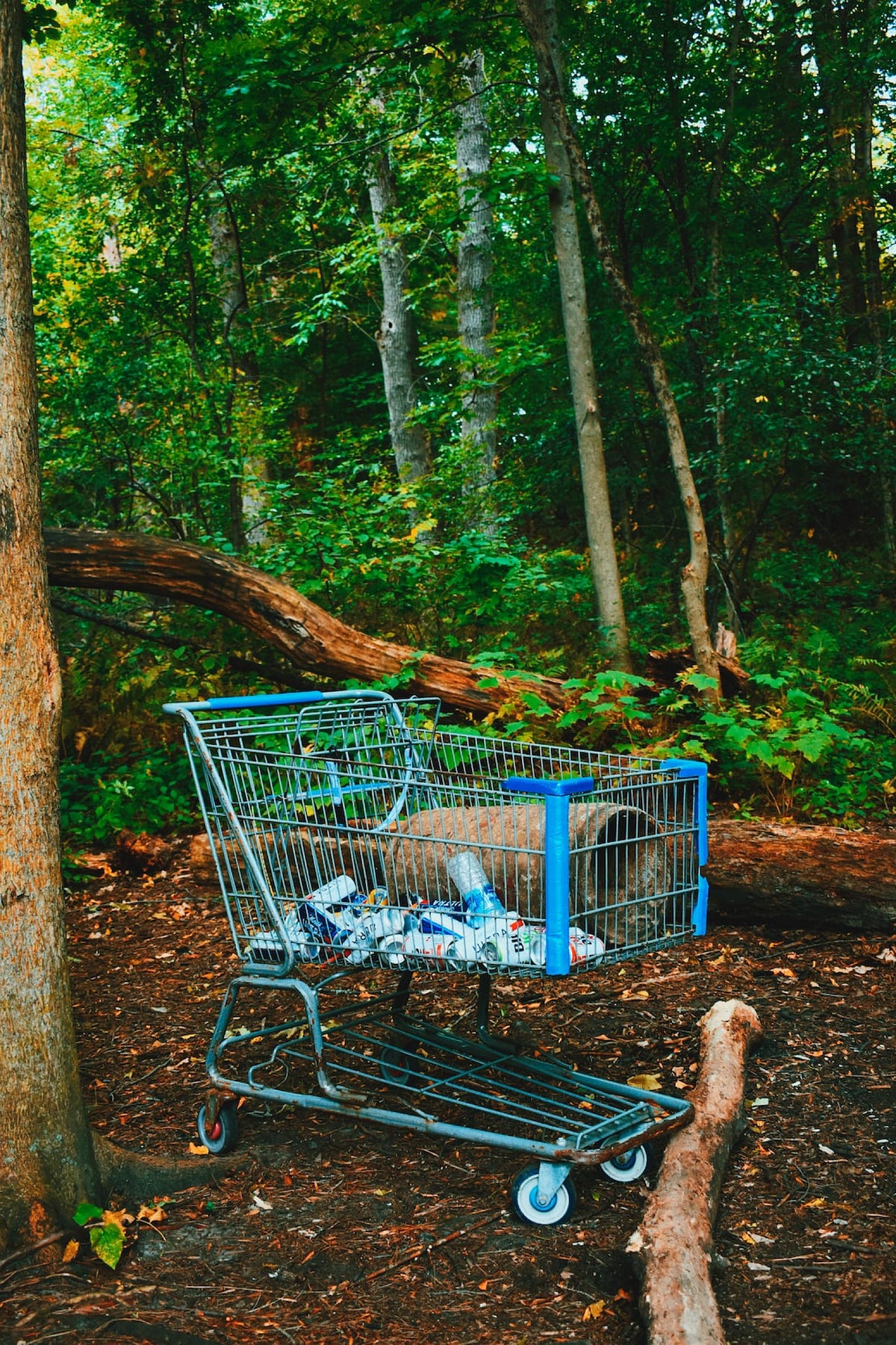 The End. Month of Poetry | by Travis Tries Poetry | Growl Publication ...