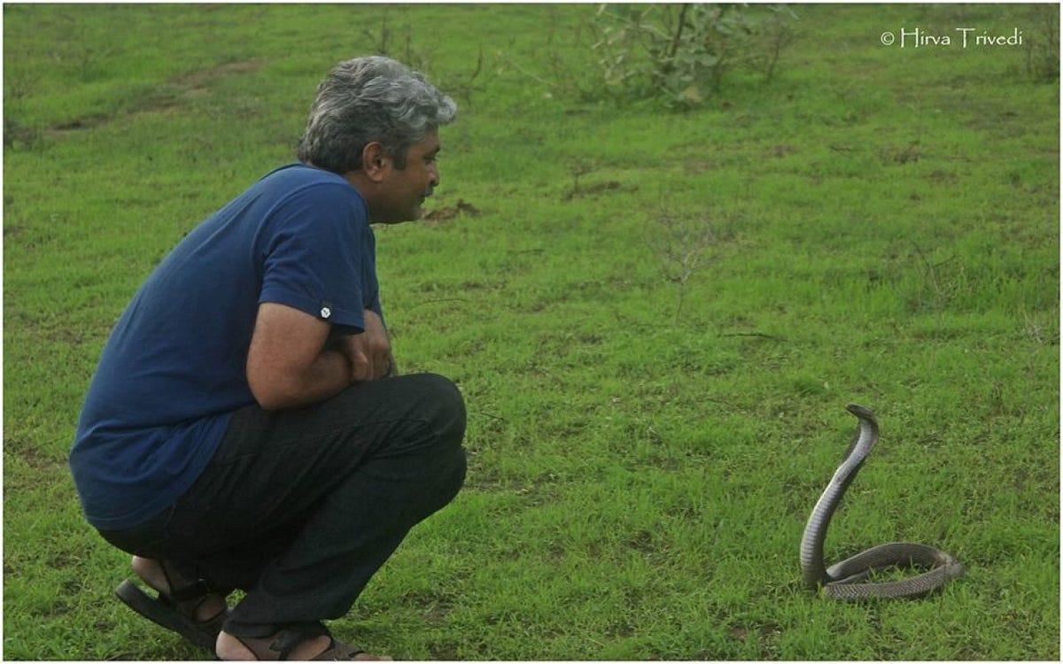 DHARMENDRA TRIVEDI TALKS ABOUT SNAKE RESCUE, BELIEFS, MYTHS AND FACTS ...