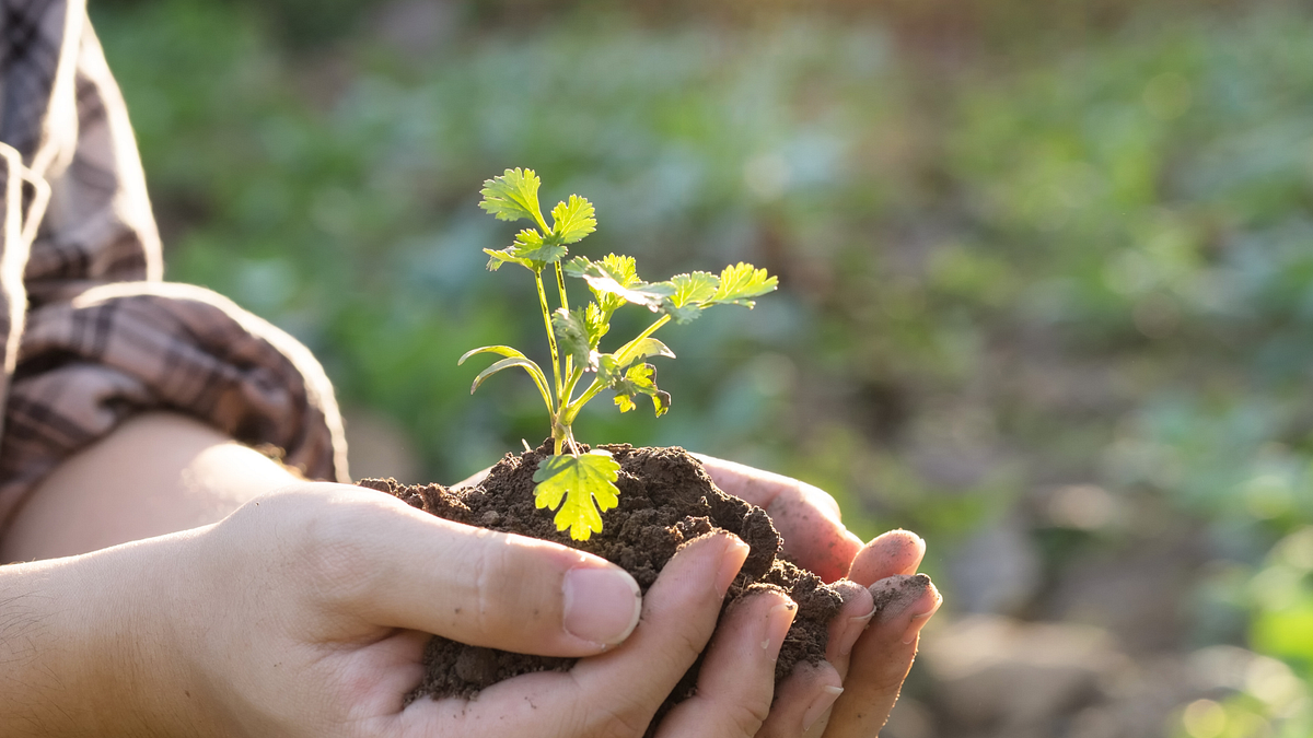 Daily Practices to Cultivate Joy. Simple Habits for a Happier Life | by ...