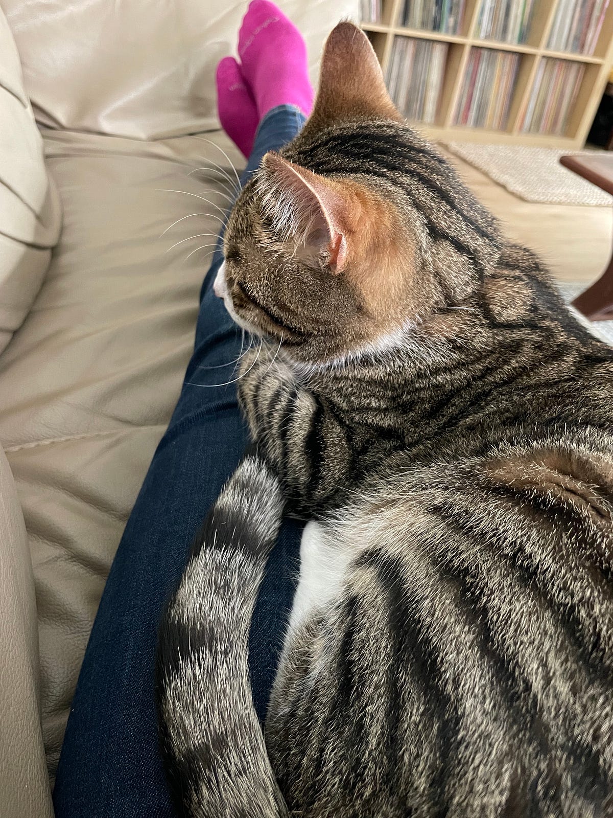 Updates from a reels challenge. Day 106/365 days of IG reels… | by Emma ...