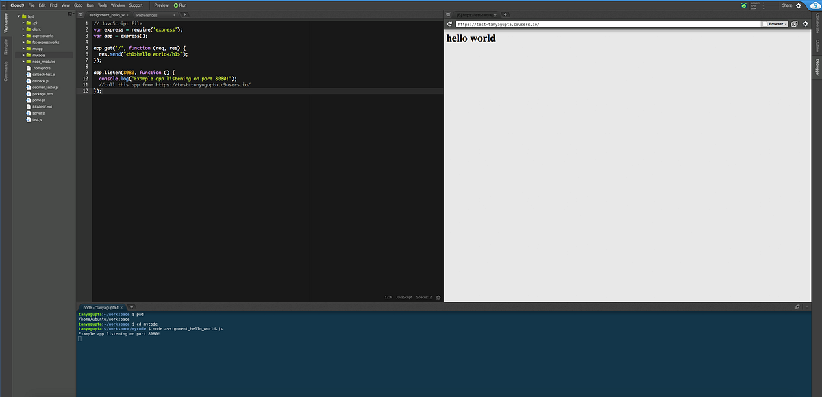 How to deploy a Node.js web app using Express in Cloud9 | by Tanya ...