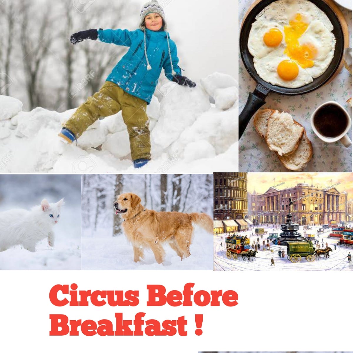 A Circus before breakfast !. It was a cold morning of Wednesday when ...