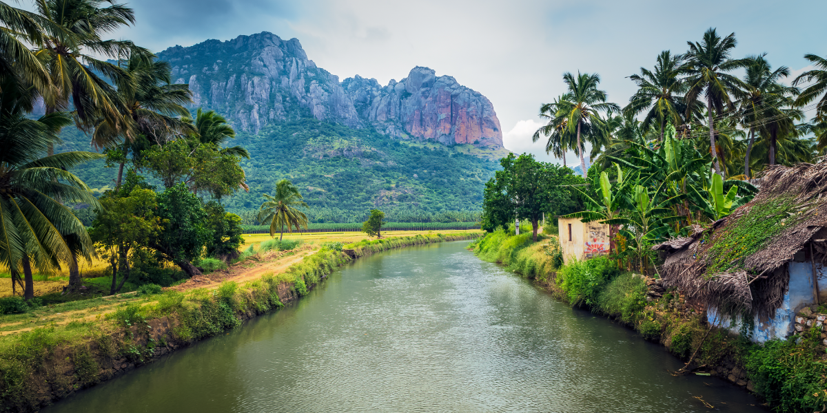 Discovering Tamil Nadu’s Best Wildlife Sanctuaries | by Ankush Makde ...