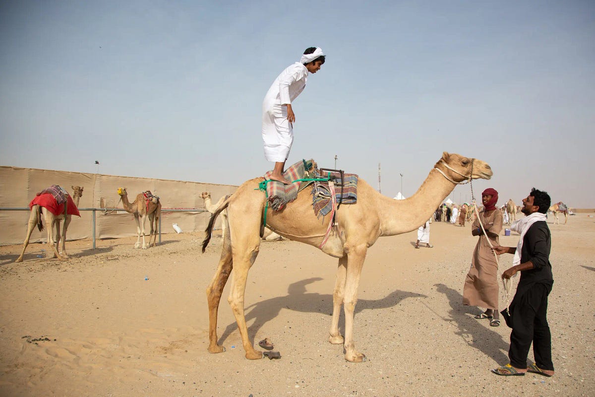 Desert Speed Demons: Inside the World of Camel Racing in Qatar 🇶🇦 | by ...