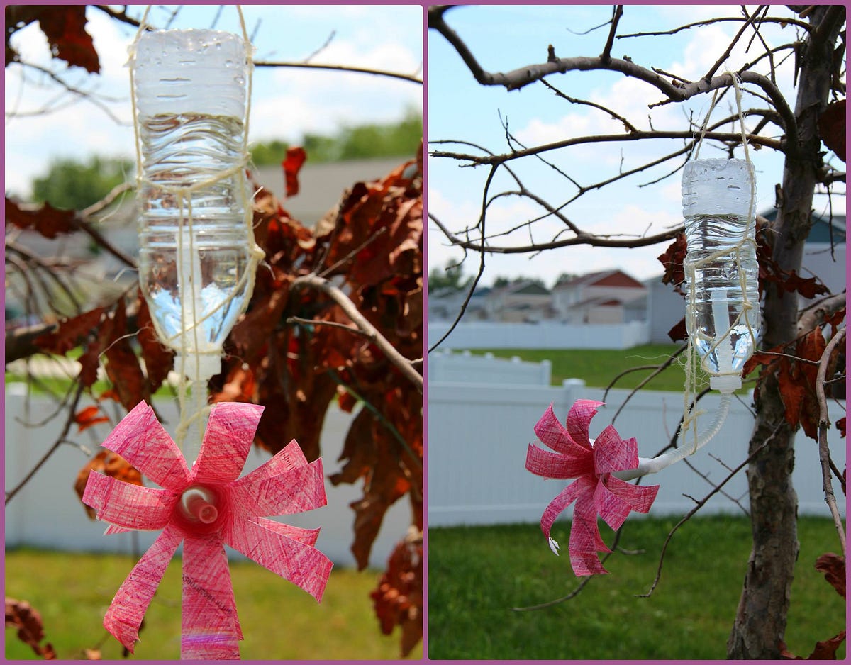 Inner Child on Grown-Up Things. I started bird-watching during the ...