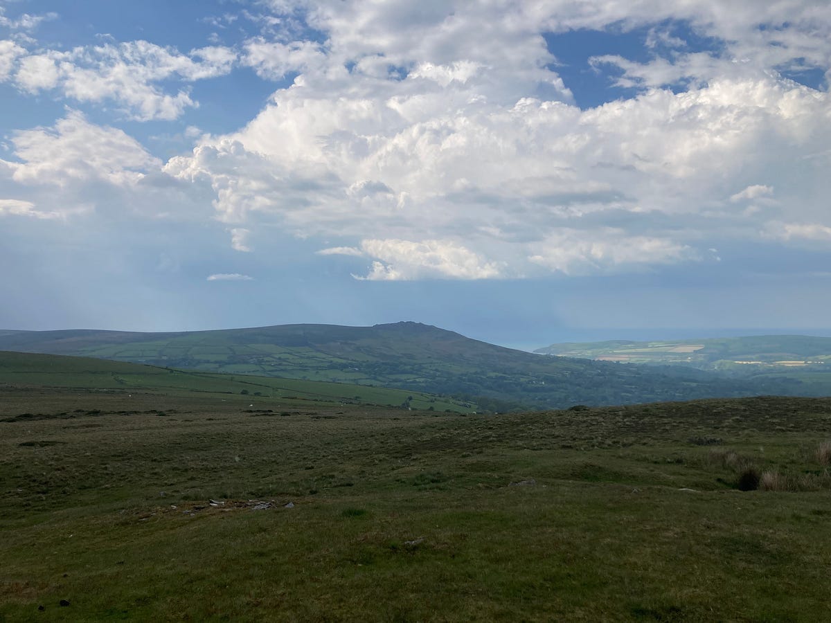 Hiraeth. I’m longing for a wild place — of… | by Consi Handelsman ...