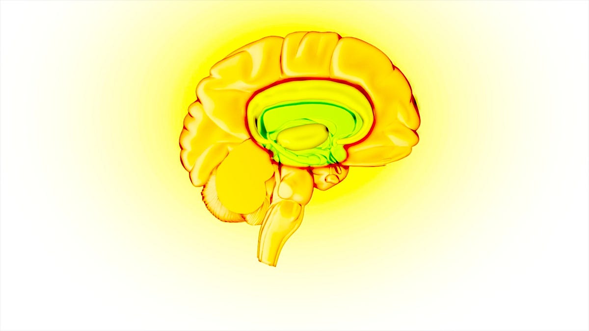 Sentience: How Does the Brain Generate the Mind? | by TROIC | Predict ...
