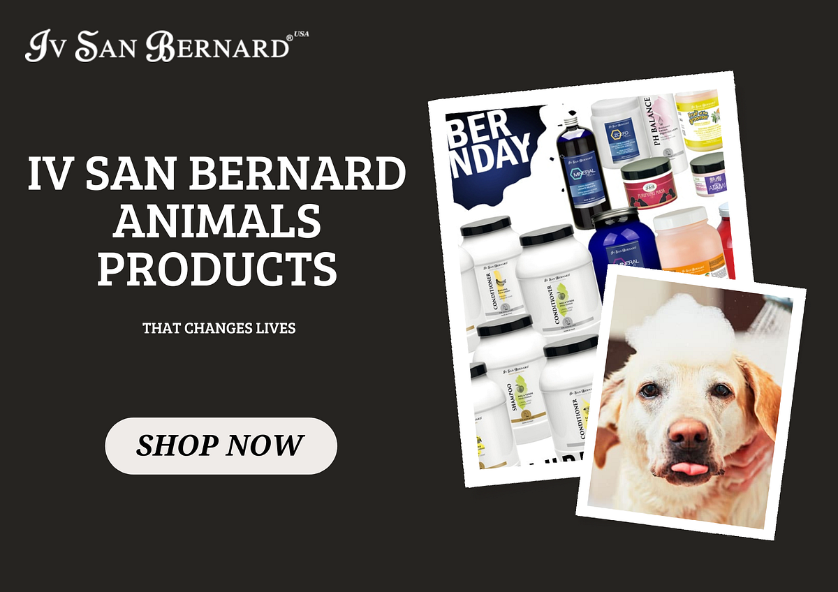 Pets Skin Therapy: Restoring Healthy Skin for Your Beloved Pets | by Iv ...