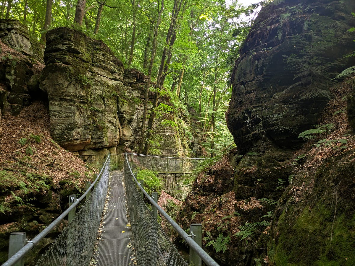 Trail review: Mullerthal B2. The most popular hiking route in… | by ...