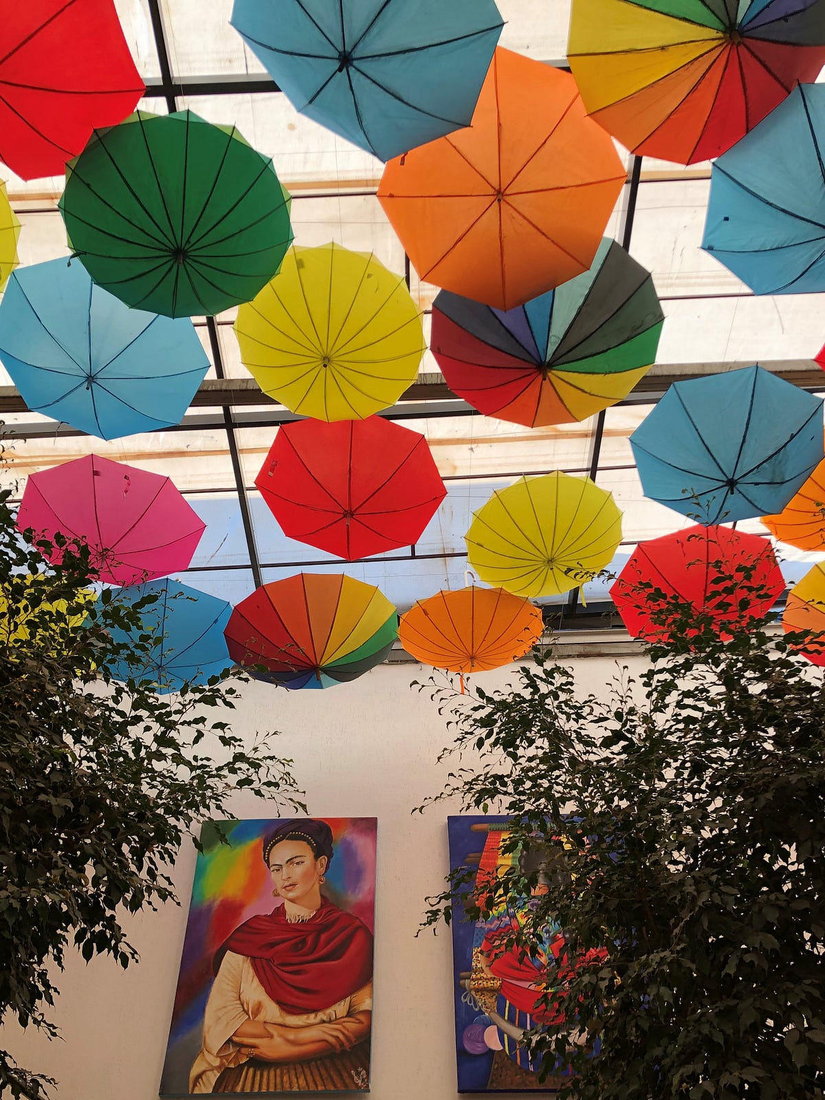 Freedom and Social Change. You can start off by asking yourself… | by ...