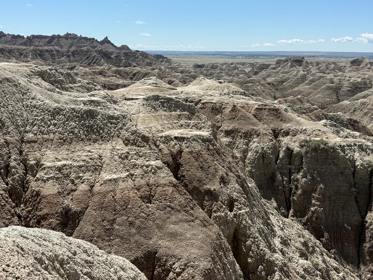 Badlands, Bison, and a Bit of AI. Now for something completely ...