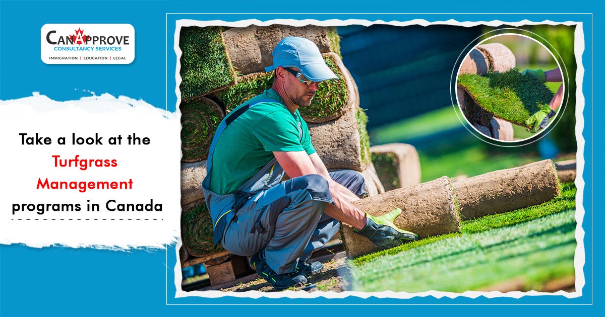 Turfgrass Management programs in Canada | by Anishkumar Loganathan | Medium