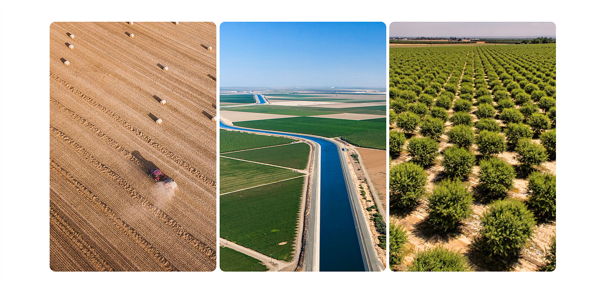 Earth Day Special; How Tree Nut Farming in California Can Make an ...
