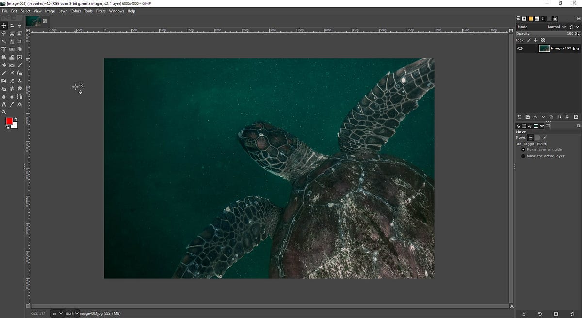 GIMP Tips — Input field math. Did you know you can enter math… | by Tim ...