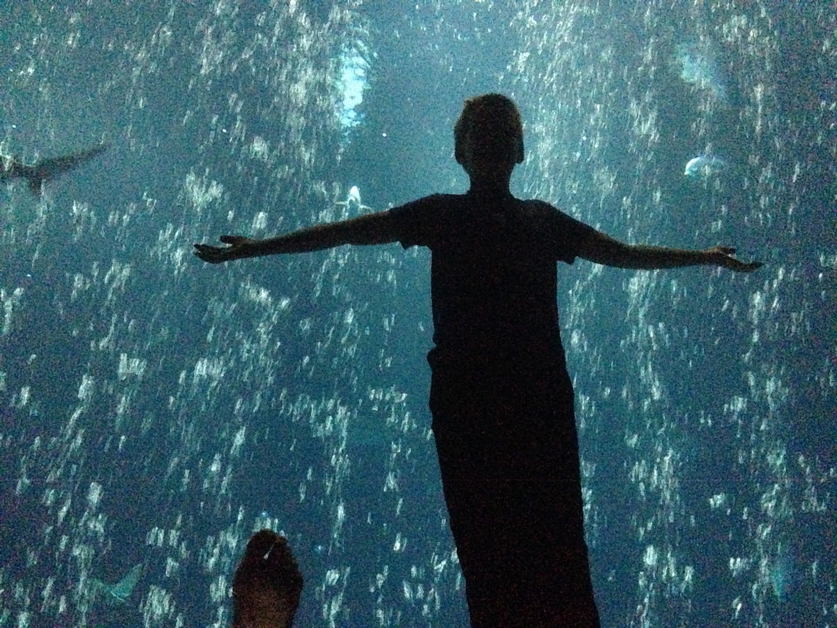 Utopian Potential. I’m sensing more and more that there… | by Geoff ...