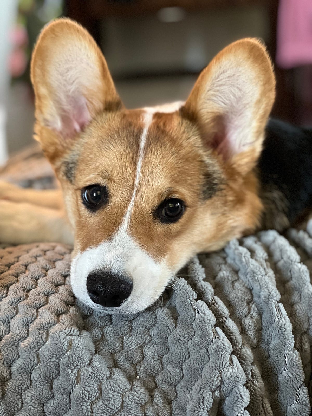 Print(“Hello World!”). Hello World! | by B A Messman | Medium