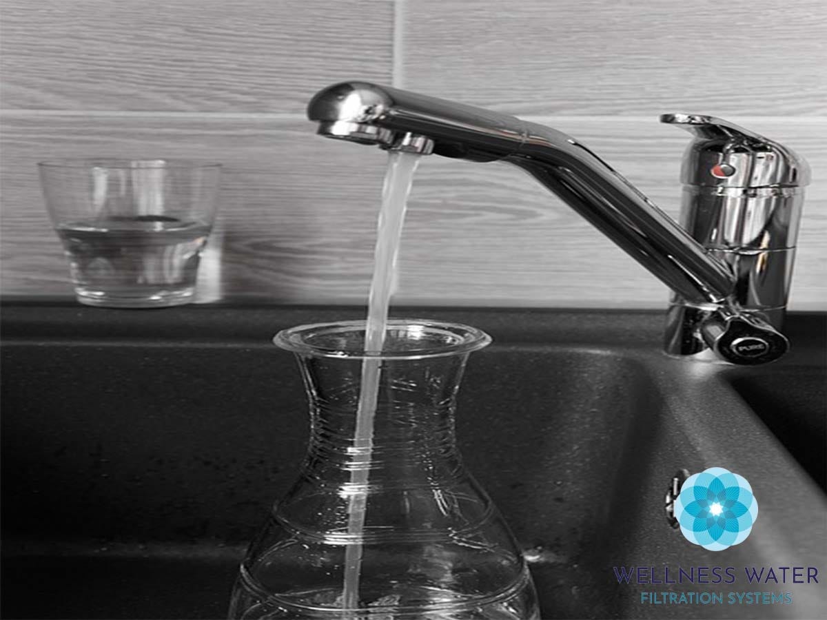 Wellness Water Filtration Systems | by Elite SEO Teams | Feb, 2024 | Medium
