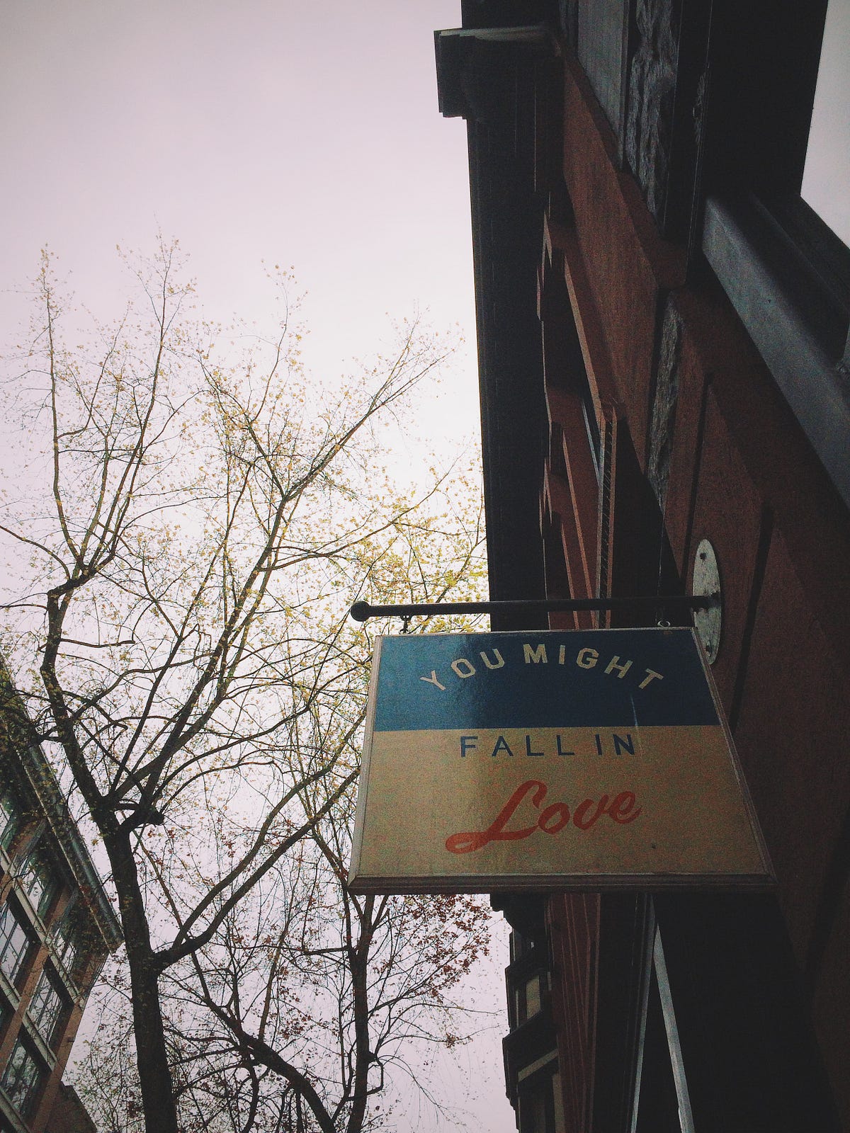 The State of Love — Virginia. According to the movie Joe Dirt home is… | by Jake Warren | Medium