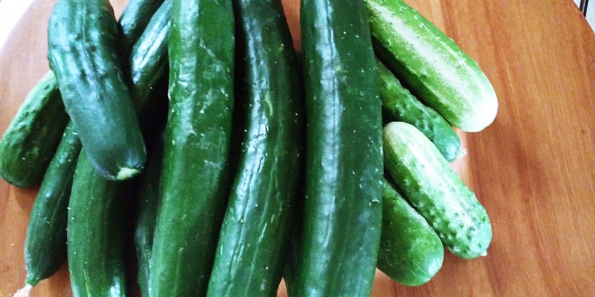 I’m so sorry you bit into a bitter cucumber, that’s nasty, but don’t toss them out. I learned a ...