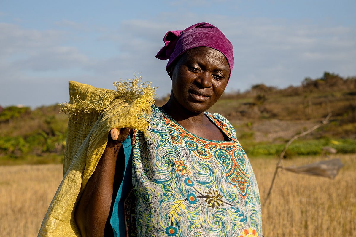 Improving Food Security in Africa | by Aino Ropponen | Farmz2U | Medium