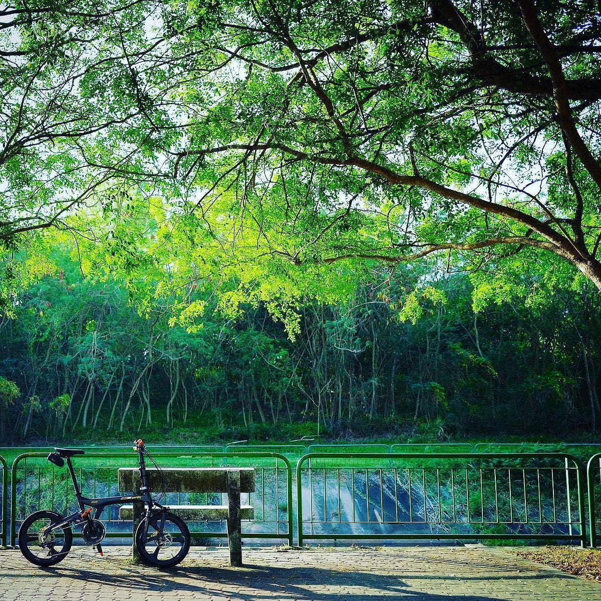 Understanding Mighty Velo: Folding bike trends & selling bikes in the ...