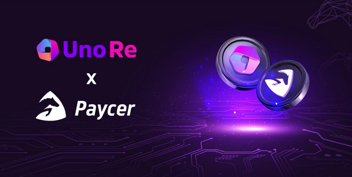 Uno Re and Paycer Explore Partnership Opportunities | by Uno.Reinsure ...