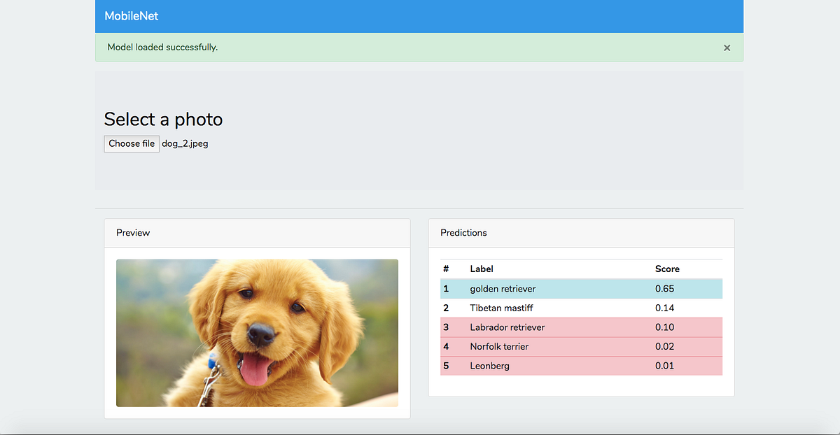 Image Classification with client-side neural network using TensorFlow.js | by Deepak ...