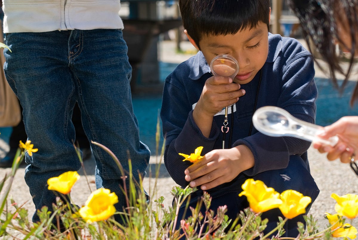 Hey, want to join me and get dirty? | by Gary Knell | Medium