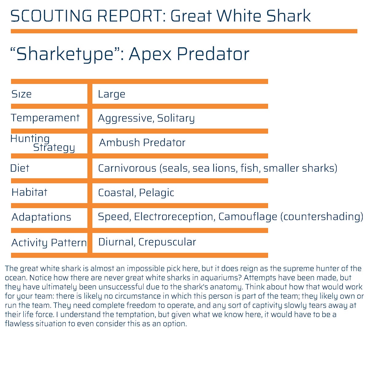 Shark Week 2024 “Sharketypes” The Apex Predators🦈 | by Versify | Medium