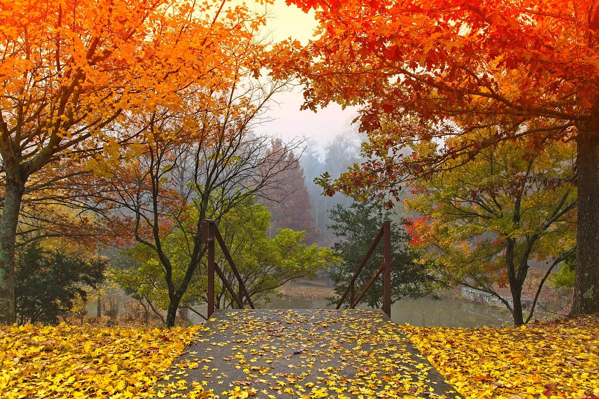 It’s The Last Day in October. Inspired by a rare Blue Moon | by Dr ...