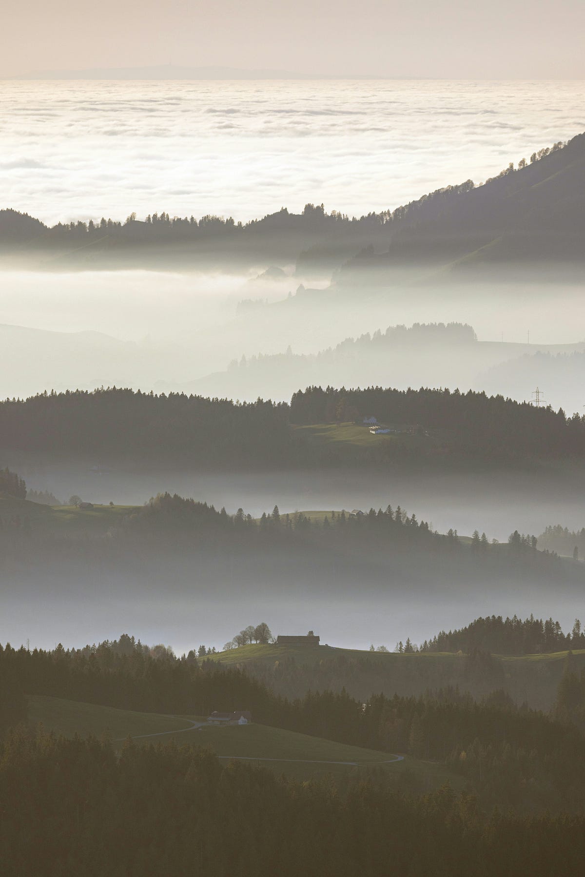How to Define Your Purpose: The Essence of Legacy Planning Meaning | by ...